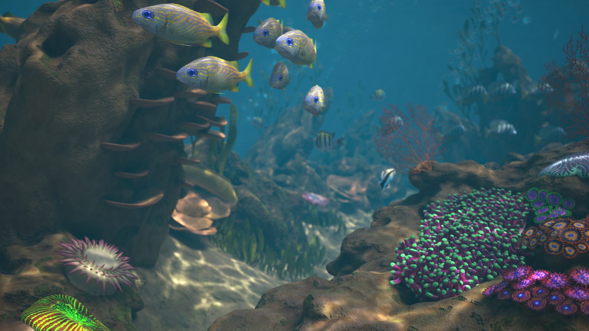 Reef Pbr 3D Model - TurboSquid 1550368