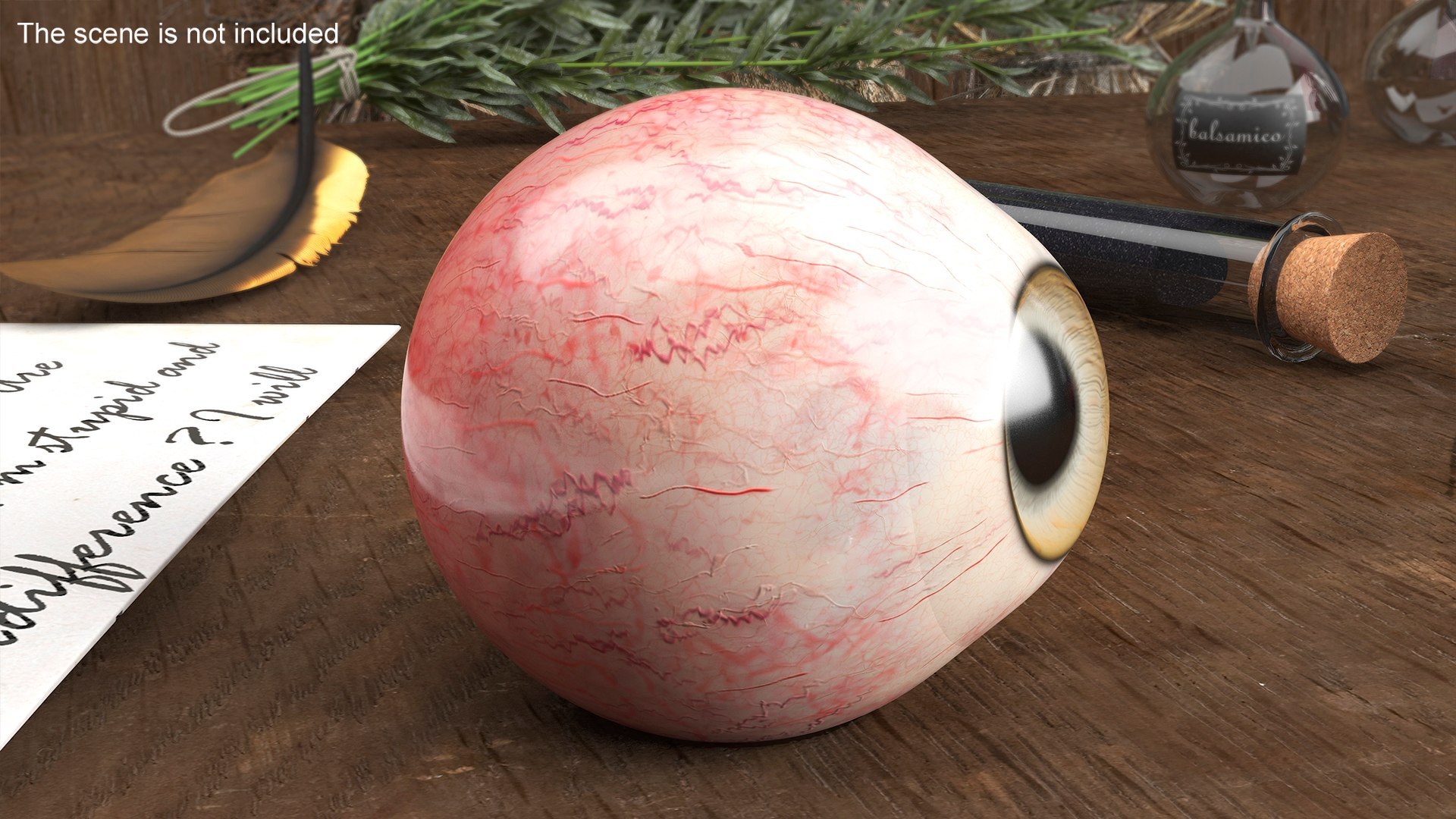 3D Model Realistic Animal Eyes Collection - TurboSquid 2198780