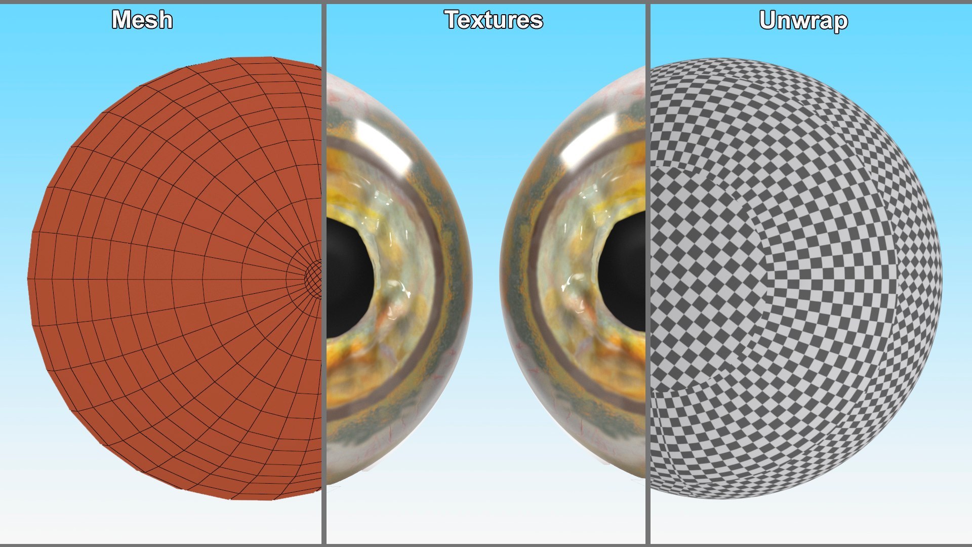 3D Model Realistic Animal Eyes Collection - TurboSquid 2198780