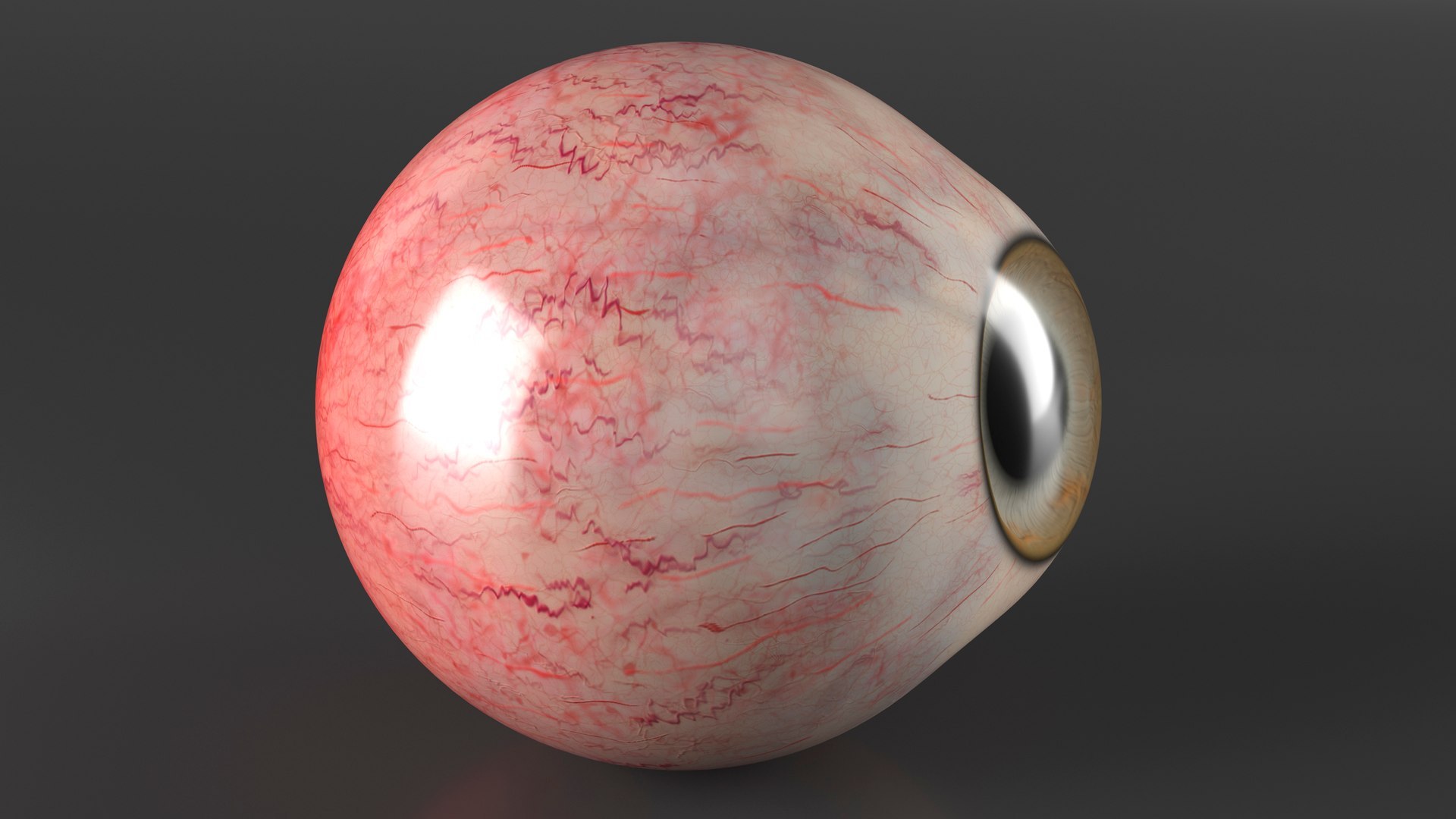 3D Model Realistic Animal Eyes Collection - TurboSquid 2198780