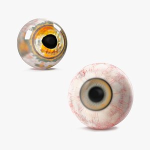 Eyes 3D Models for Download | TurboSquid