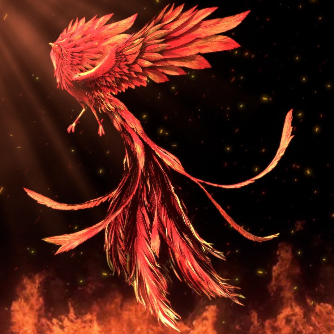 phoenix Undead bird phoenix3Dモデル - TurboSquid 2027669