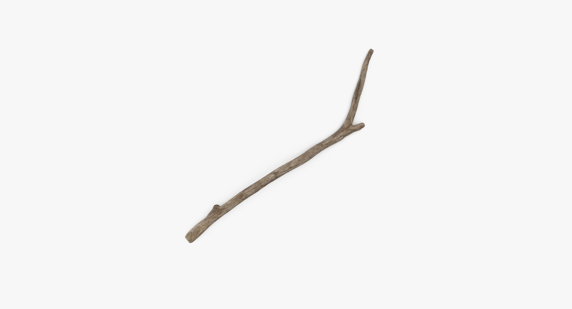 twigs sticks 3d max