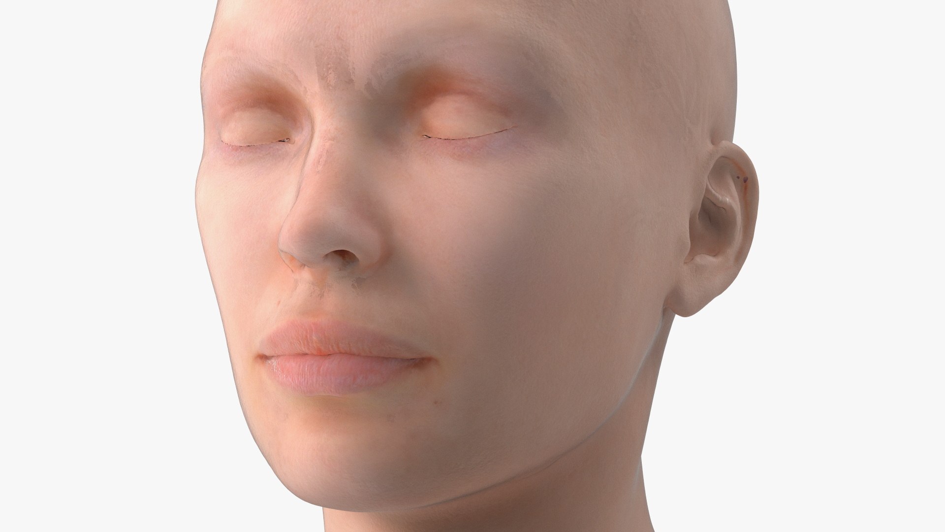 3D Female Head Full Anatomy And Skin - TurboSquid 2139821