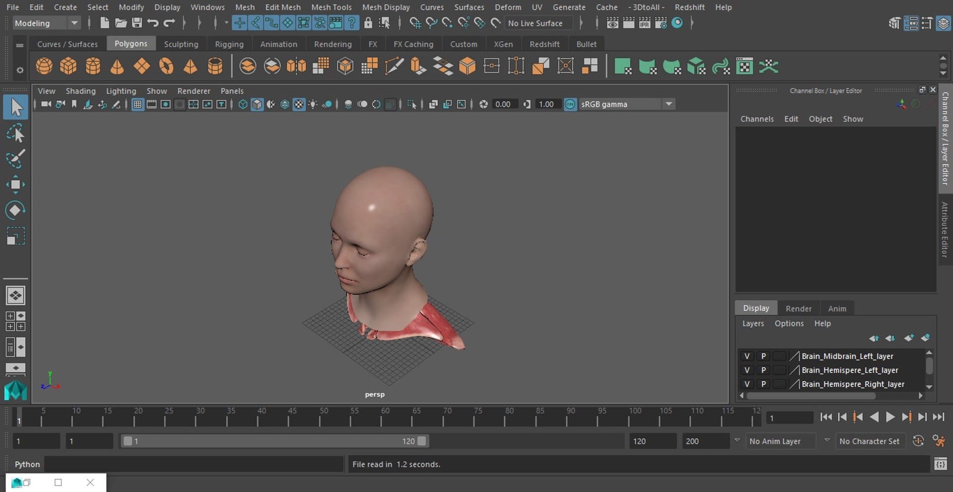 3D Female Head Full Anatomy And Skin - TurboSquid 2139821