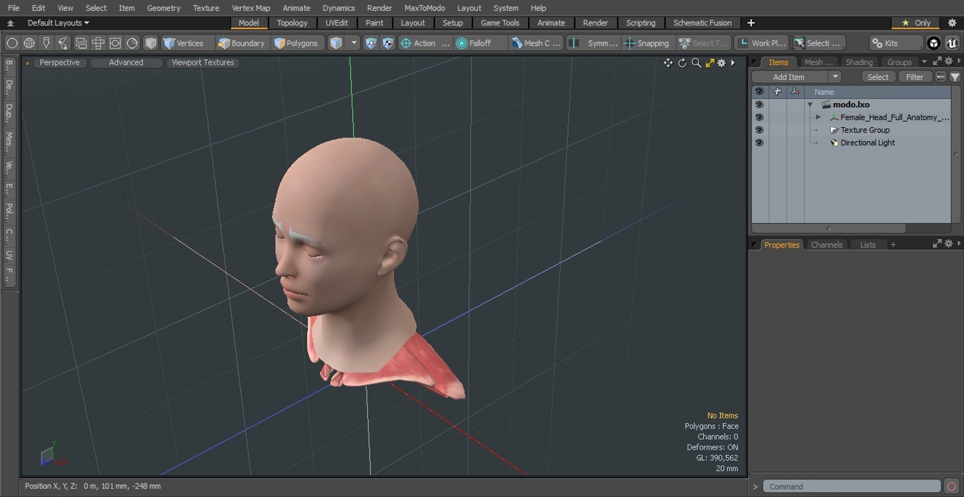 3D Female Head Full Anatomy And Skin - TurboSquid 2139821