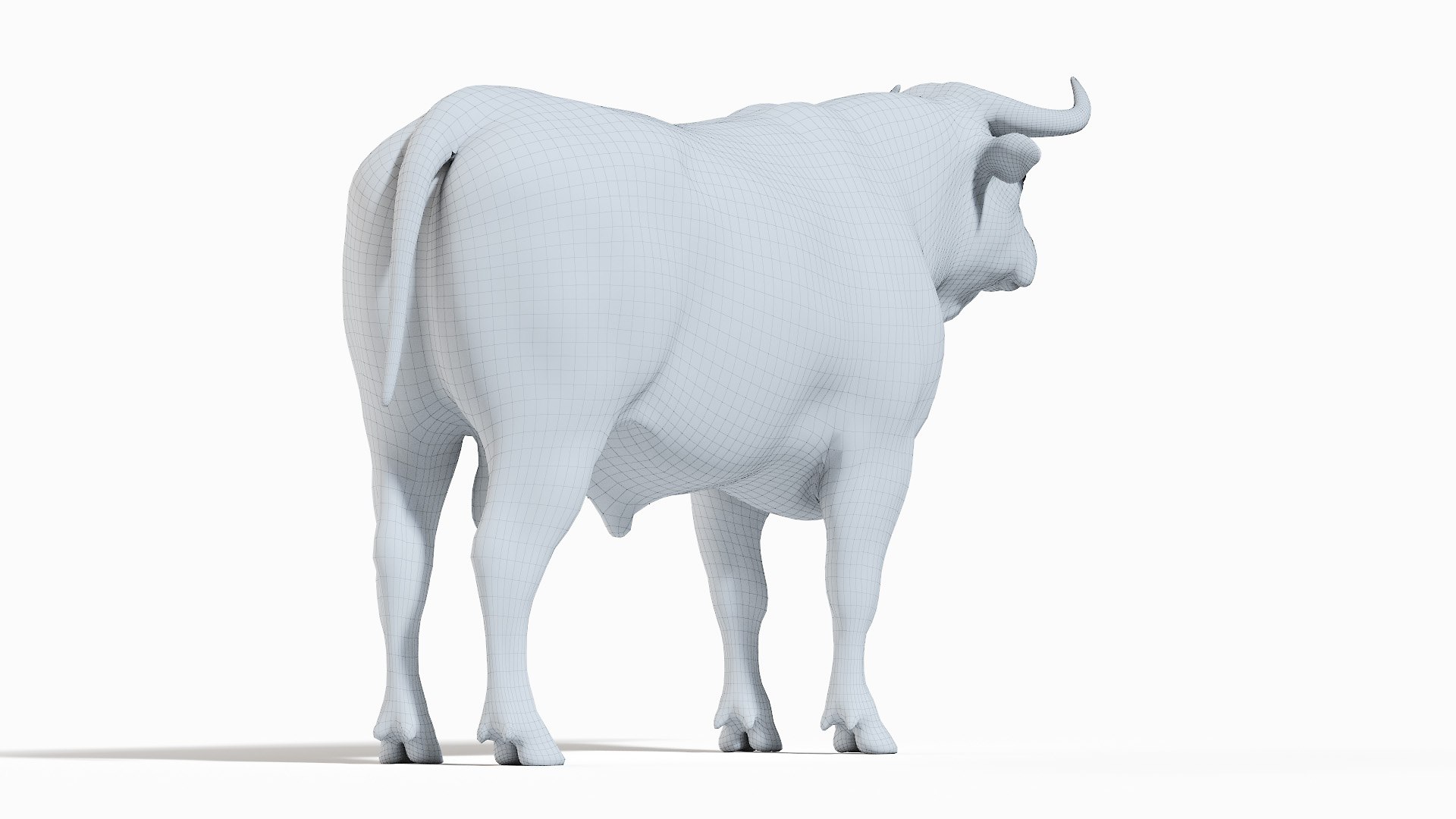 3D bull anatomy static - TurboSquid 1710999