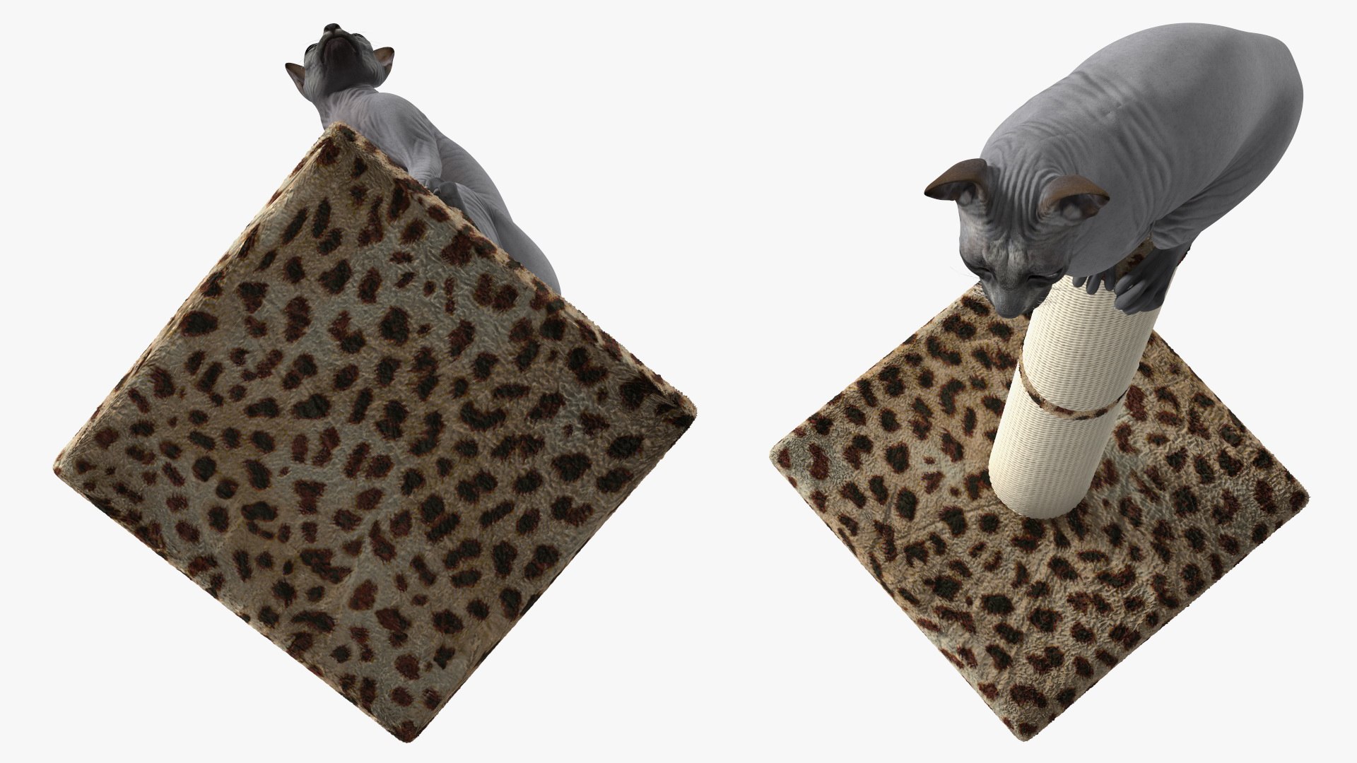 Cat Sitting On A Scratching Post model - TurboSquid 1819375