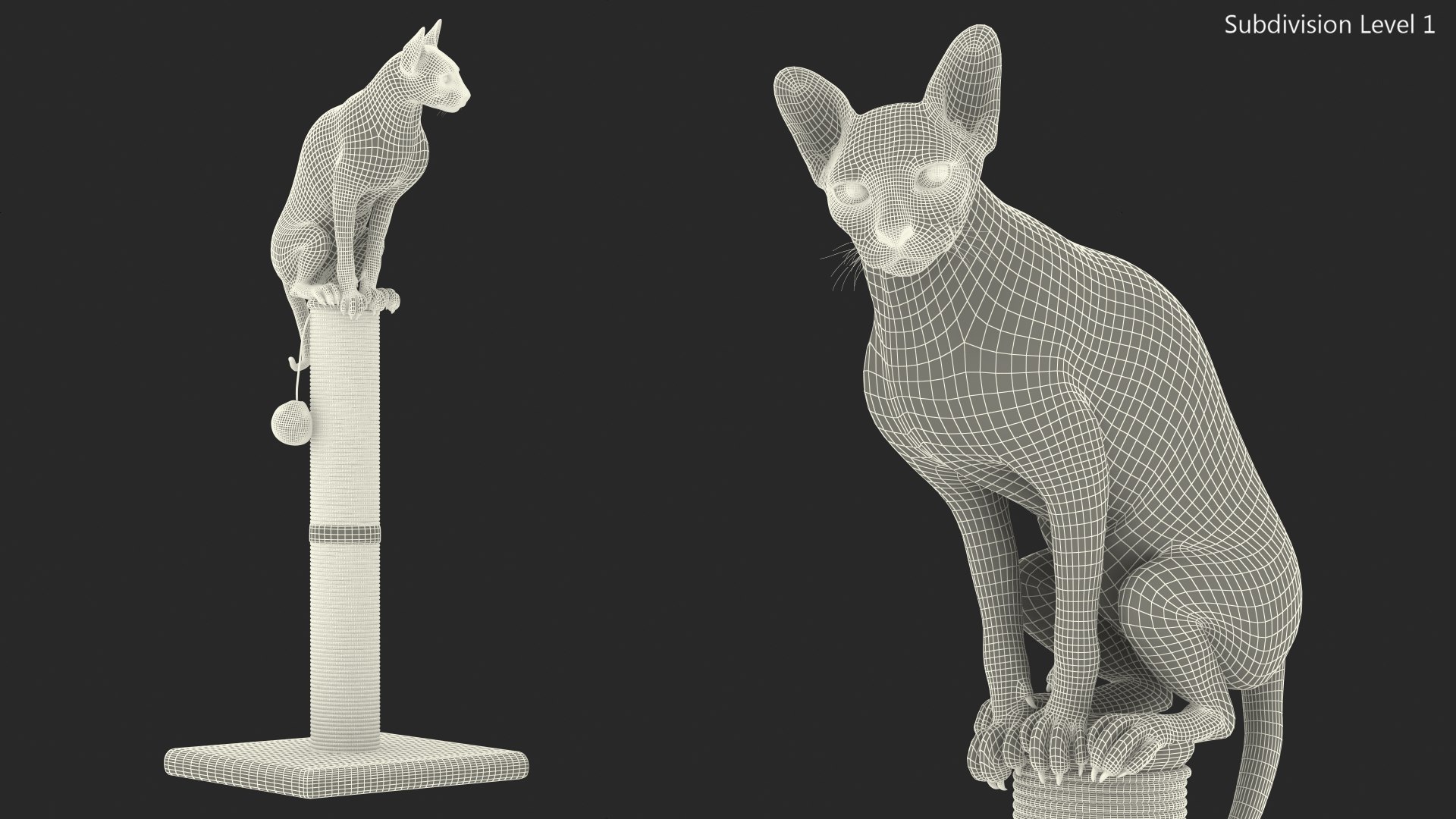 Cat Sitting On A Scratching Post model - TurboSquid 1819375