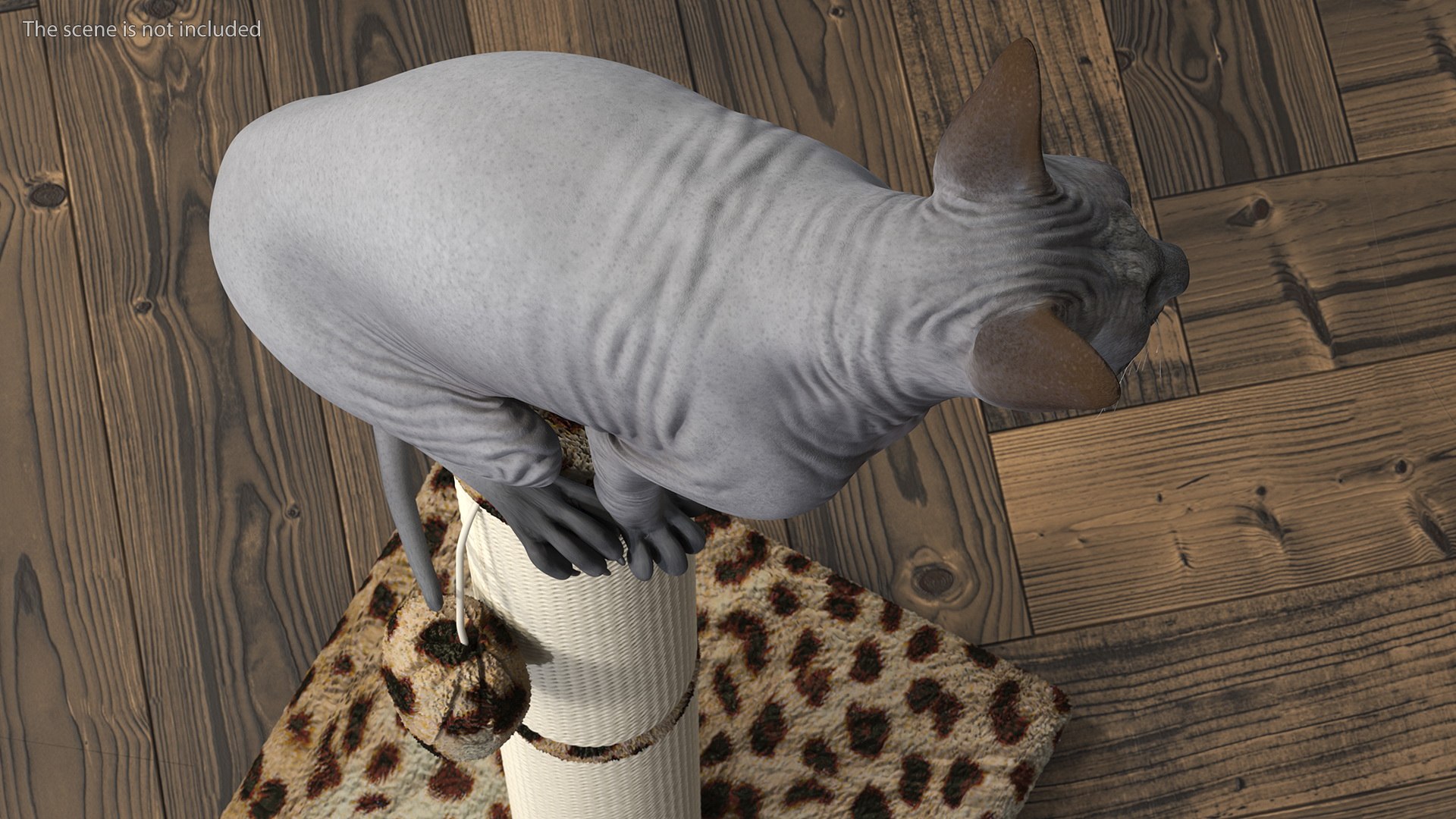 Cat Sitting On A Scratching Post model - TurboSquid 1819375