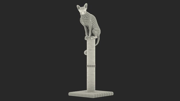 Cat Sitting On A Scratching Post model - TurboSquid 1819375