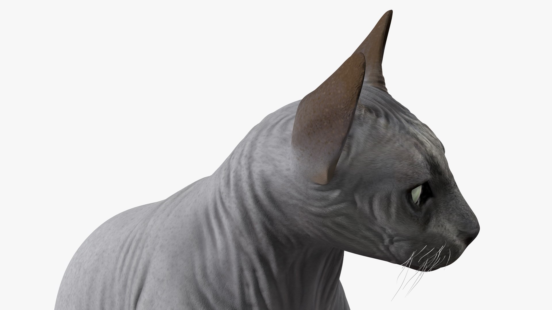 Cat Sitting On A Scratching Post model - TurboSquid 1819375