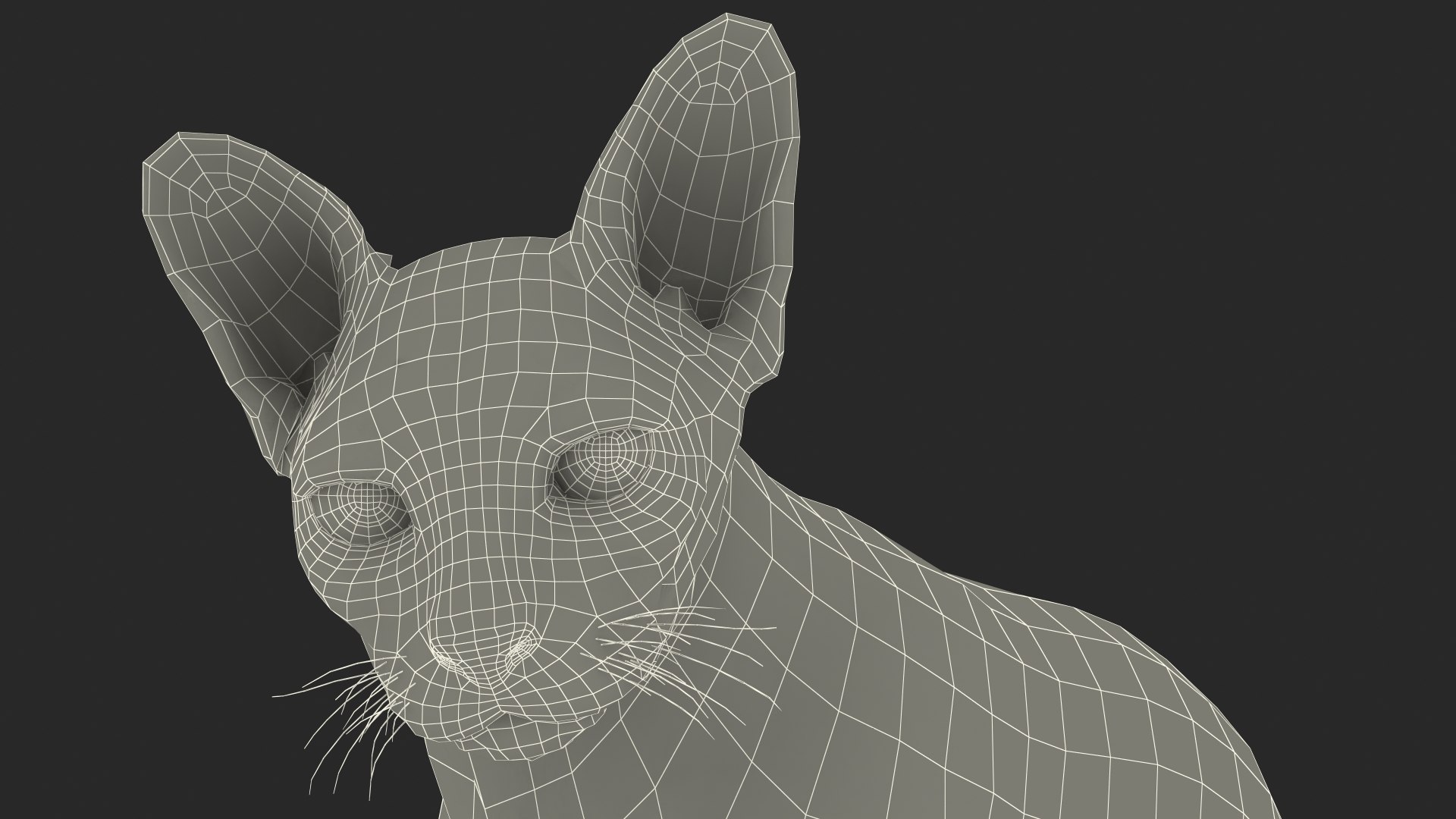 Cat Sitting On A Scratching Post model - TurboSquid 1819375