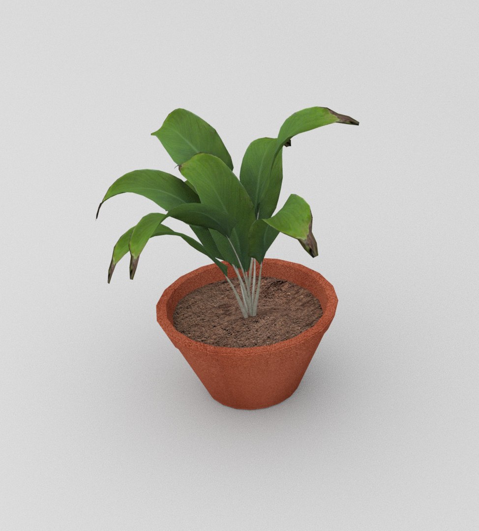 Tree Pot 3D Model - TurboSquid 1326734