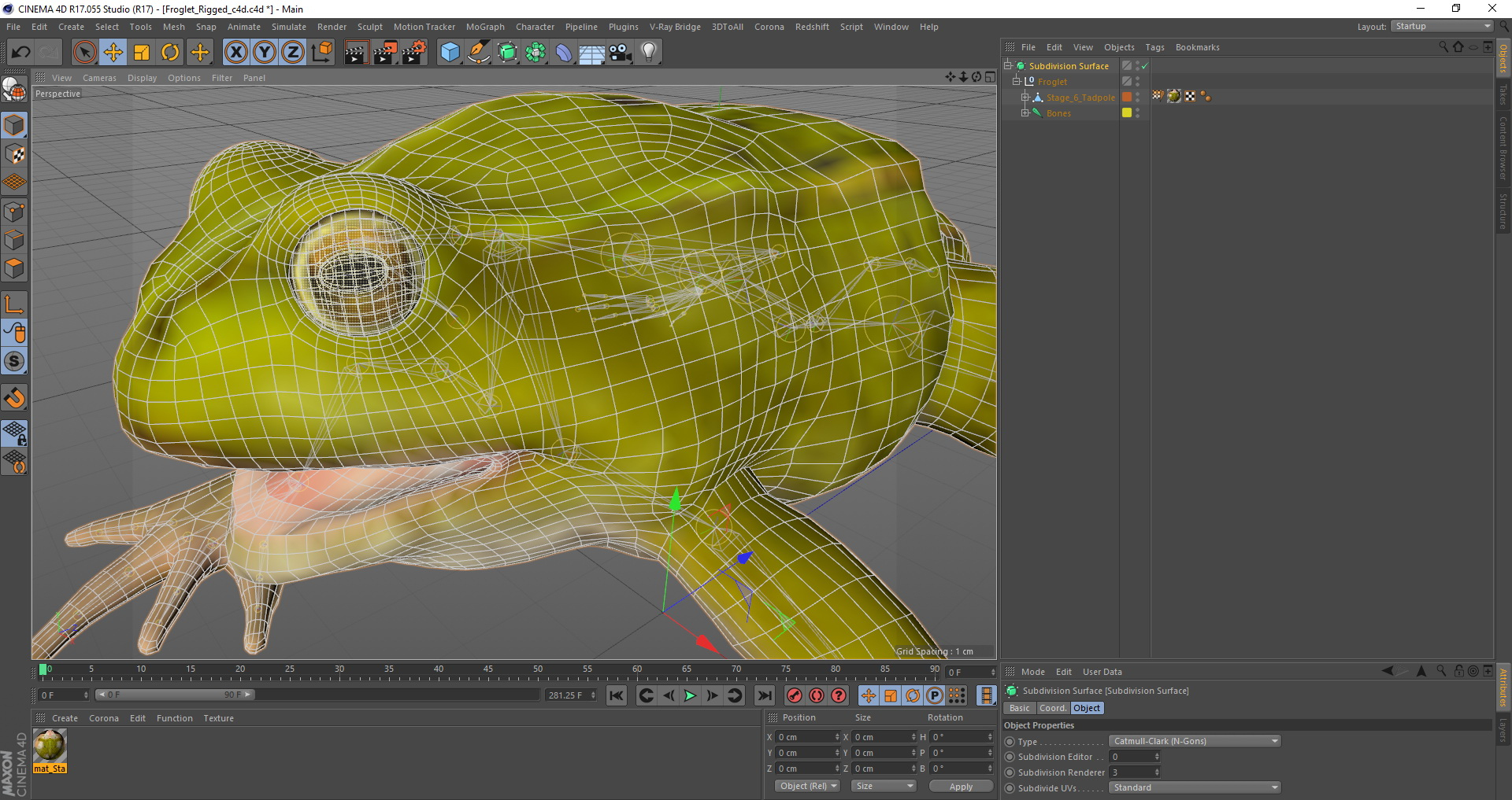 3D Frog Life Cycle Stages Rigged for Cinema 4D - TurboSquid 1727499
