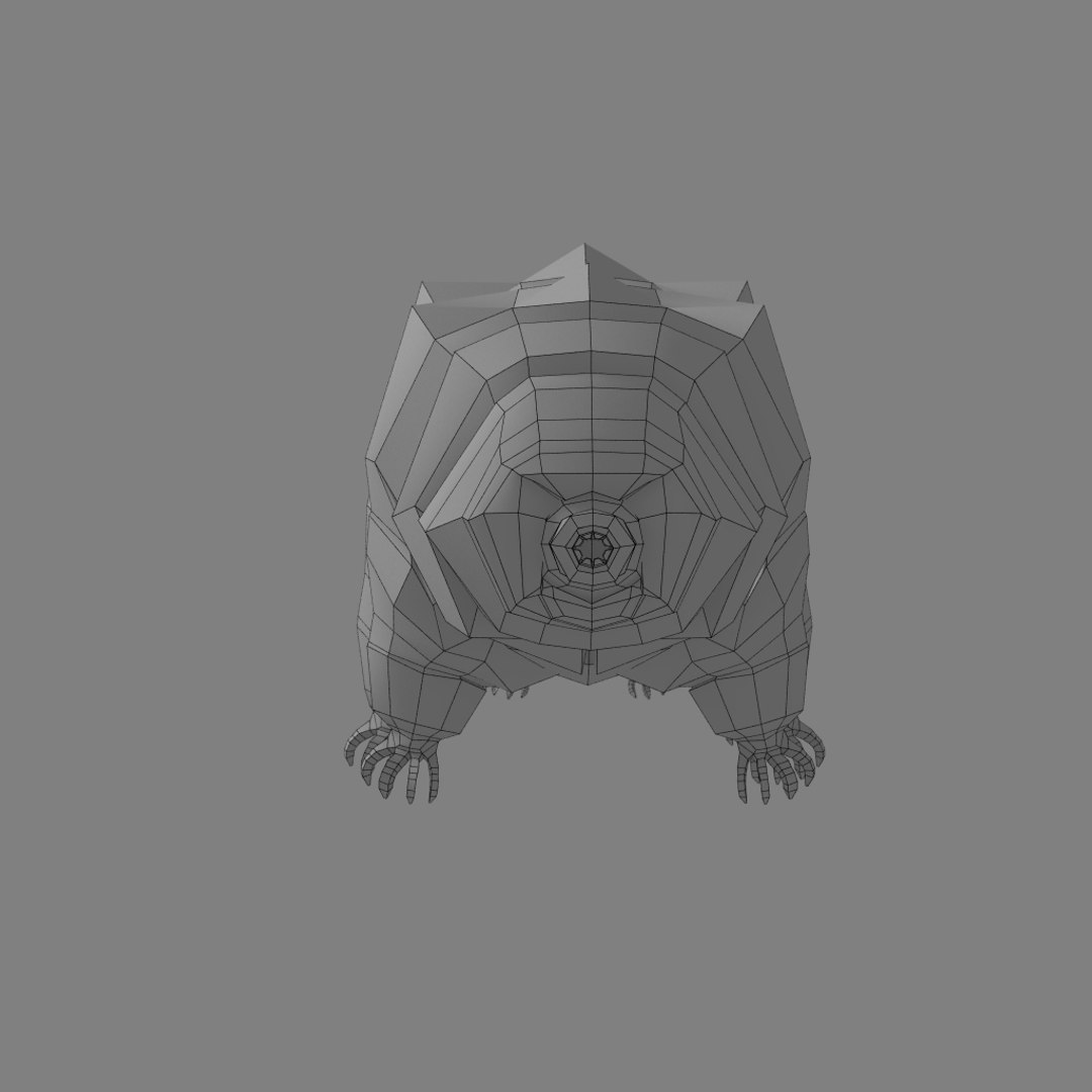 Extremophile Tardigrade Macrobiotus Sapiens Obj
