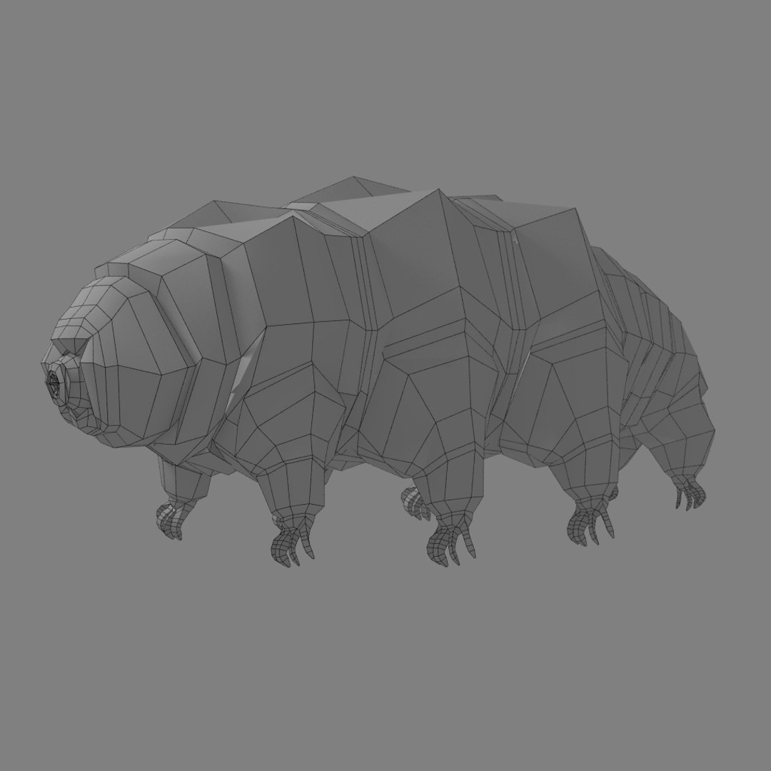 Extremophile Tardigrade Macrobiotus Sapiens Obj