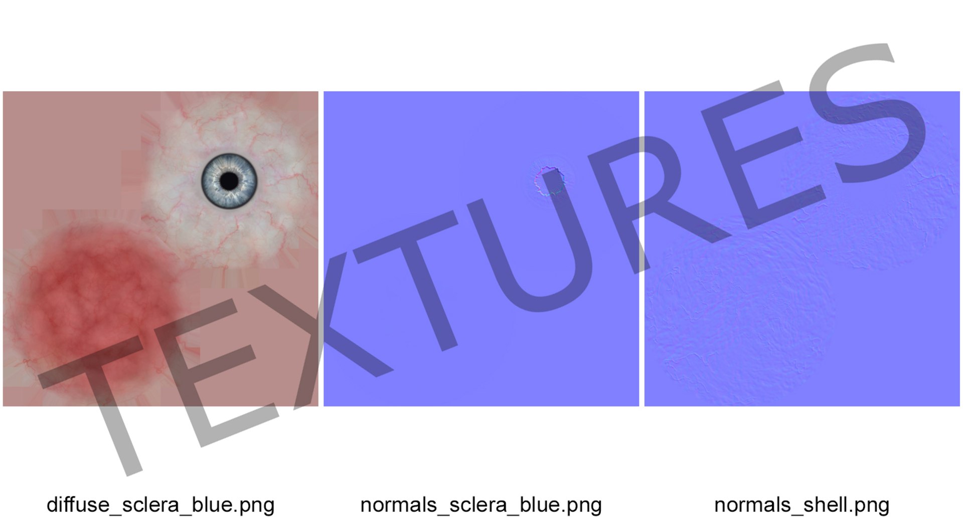 3D Blue Human Eye Model - TurboSquid 1241269