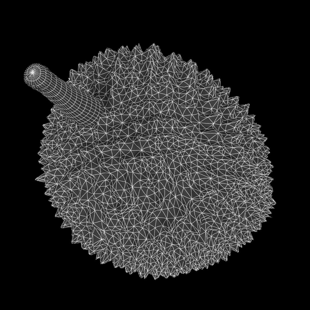 Max Durian Fruit