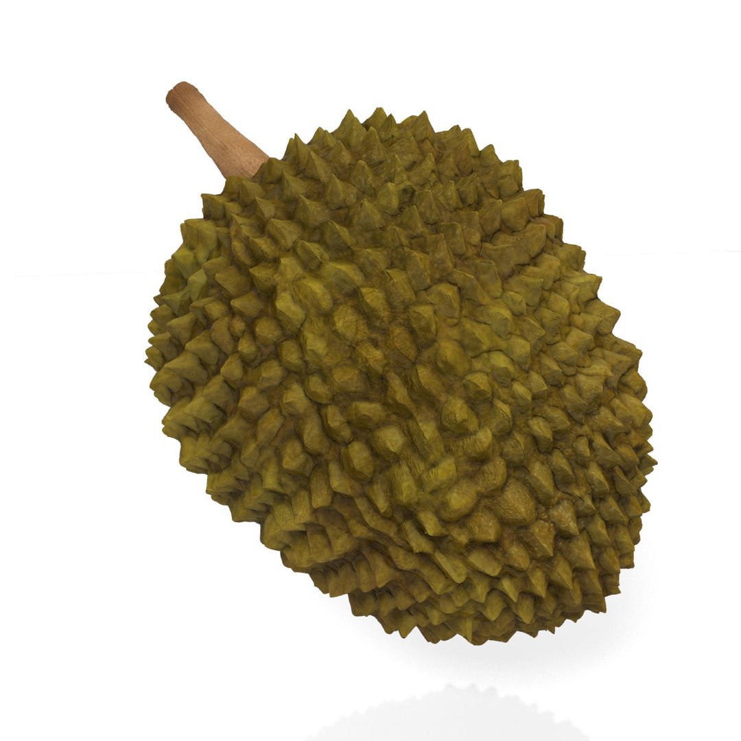 Max Durian Fruit