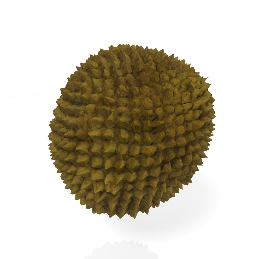 Max Durian Fruit