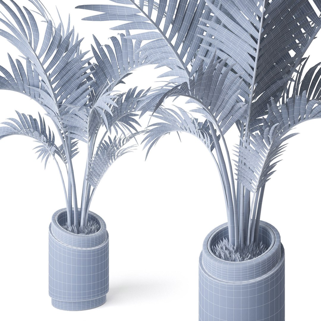 3D model palm - TurboSquid 1422138