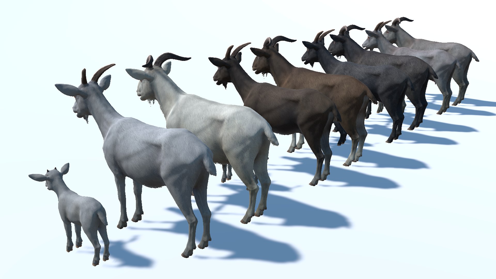 3D Model Goat Family - TurboSquid 2386120