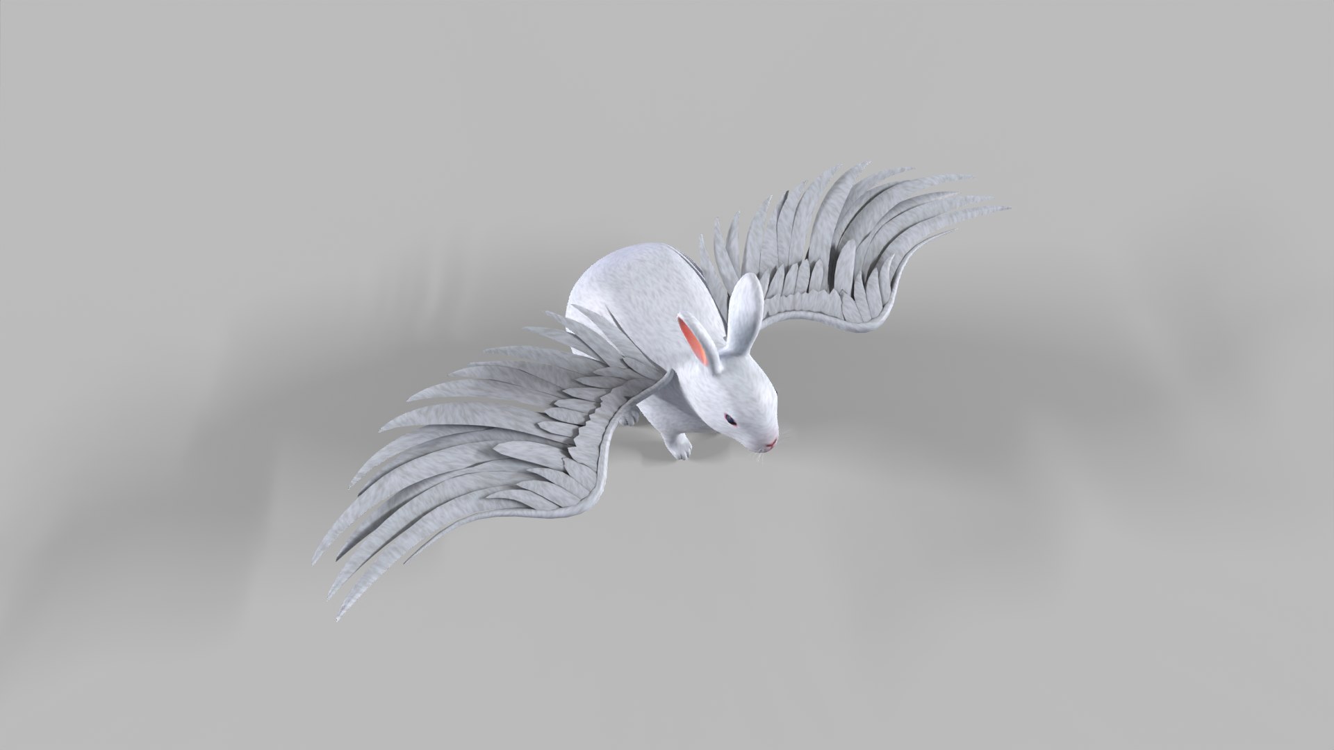 3D Flying-rabbit - TurboSquid 2011282