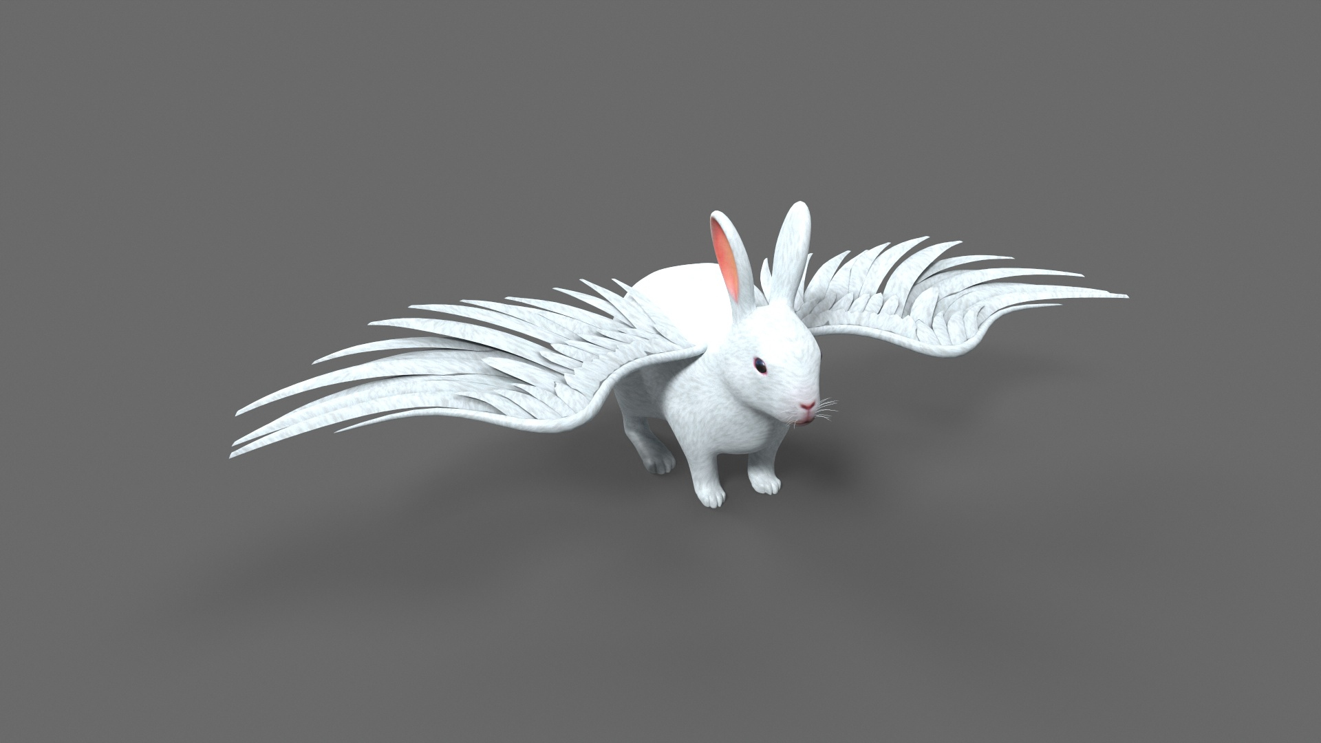 3D Flying-rabbit - TurboSquid 2011282