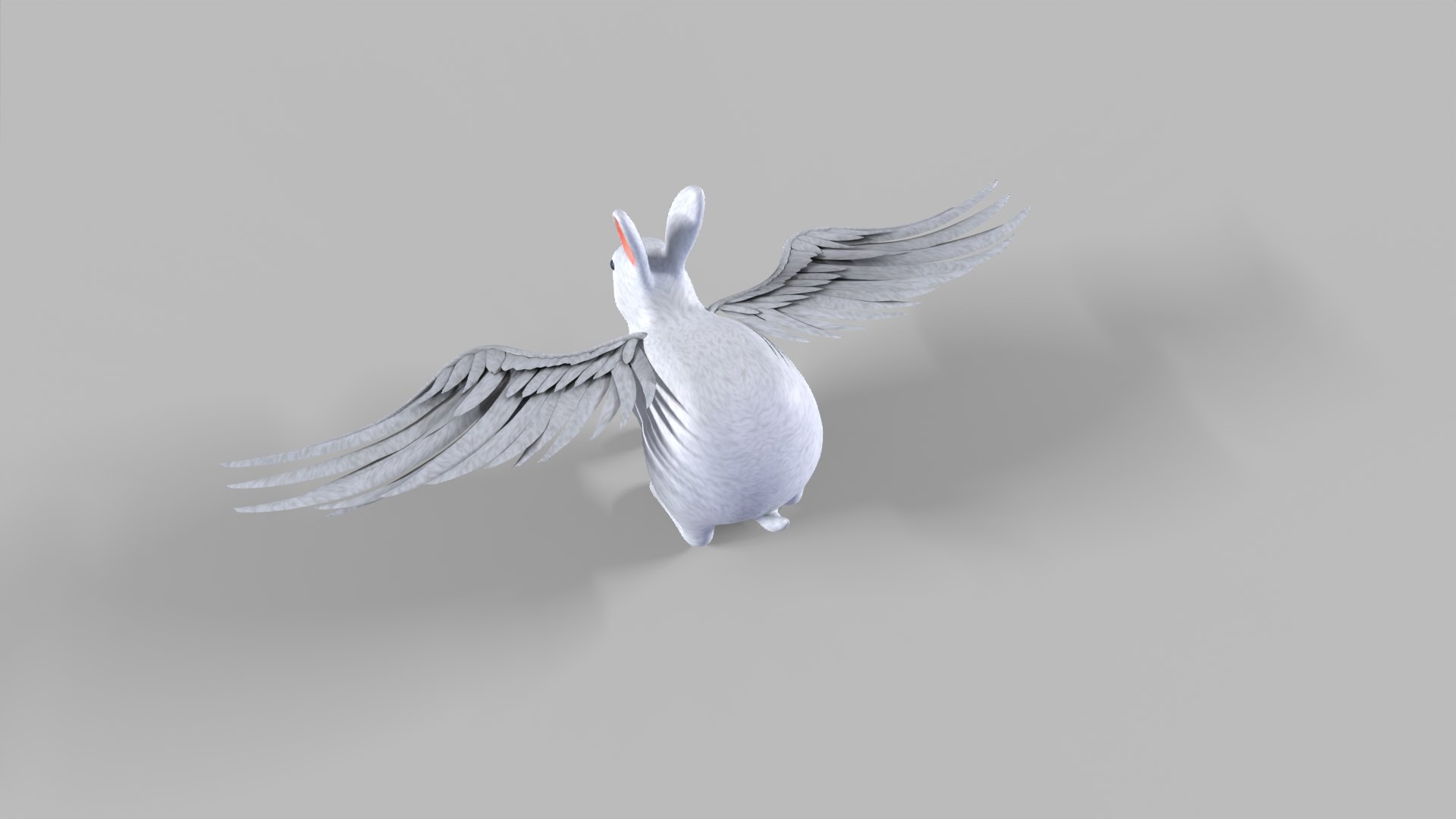3D Flying-rabbit - TurboSquid 2011282