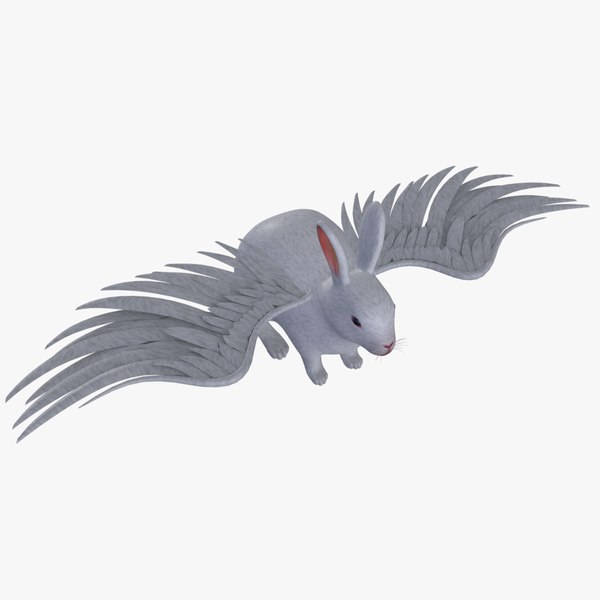 Flying-rabbit 3D 모델 - TurboSquid 2011282