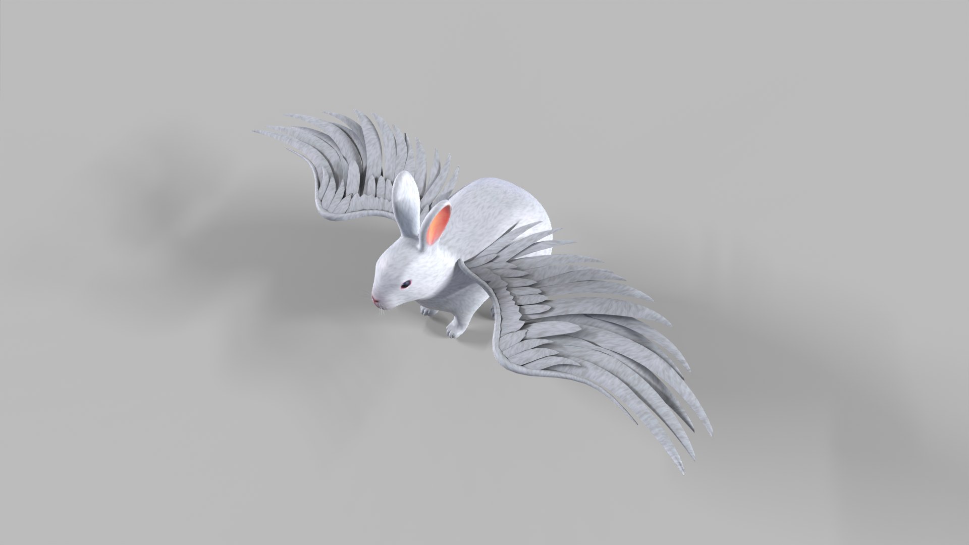 3D Flying-rabbit - TurboSquid 2011282
