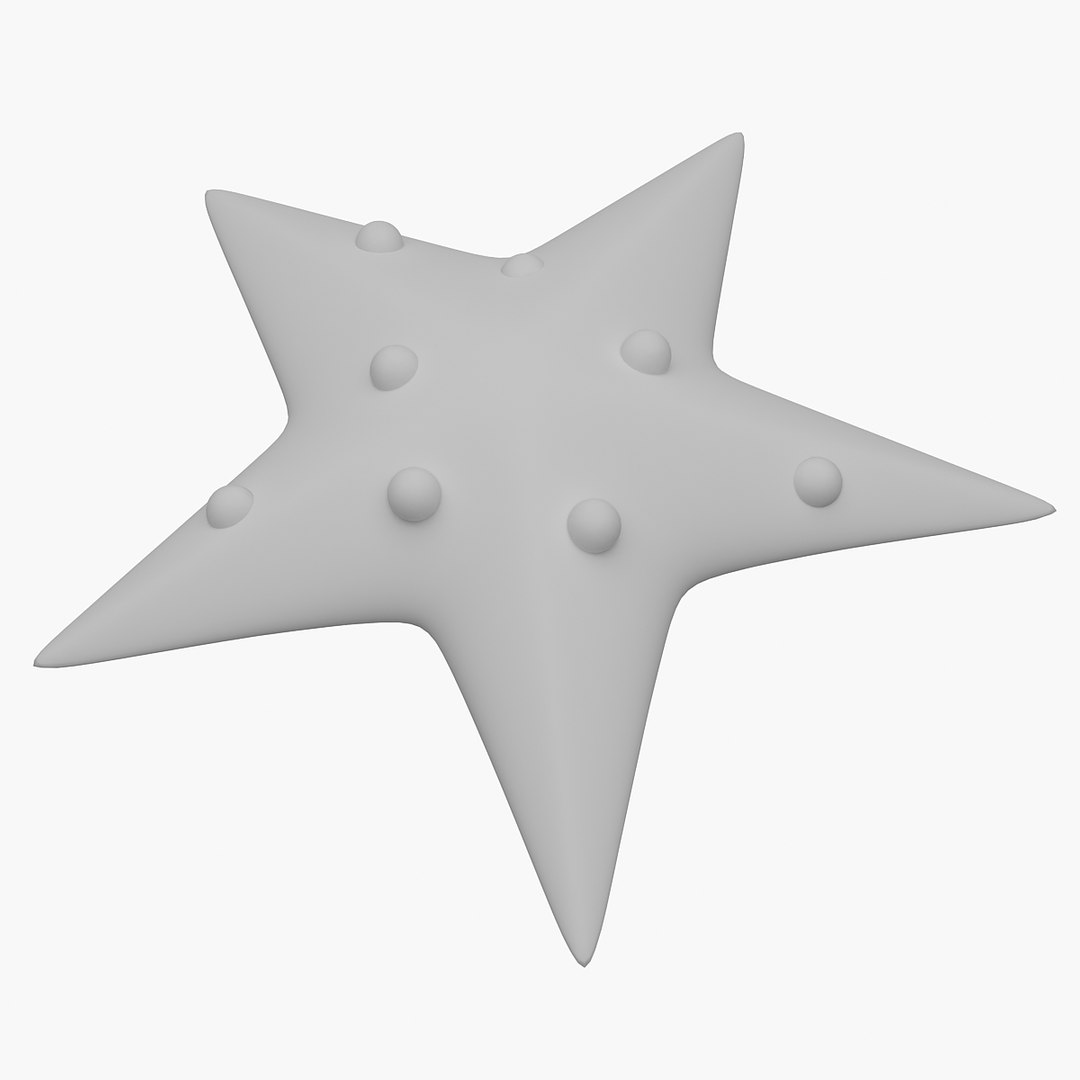 Starfish Print 3D Model - TurboSquid 1516806