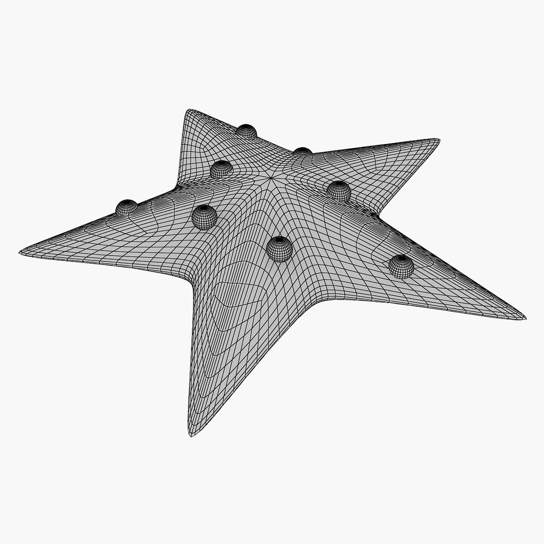 Starfish Print 3D Model - TurboSquid 1516806