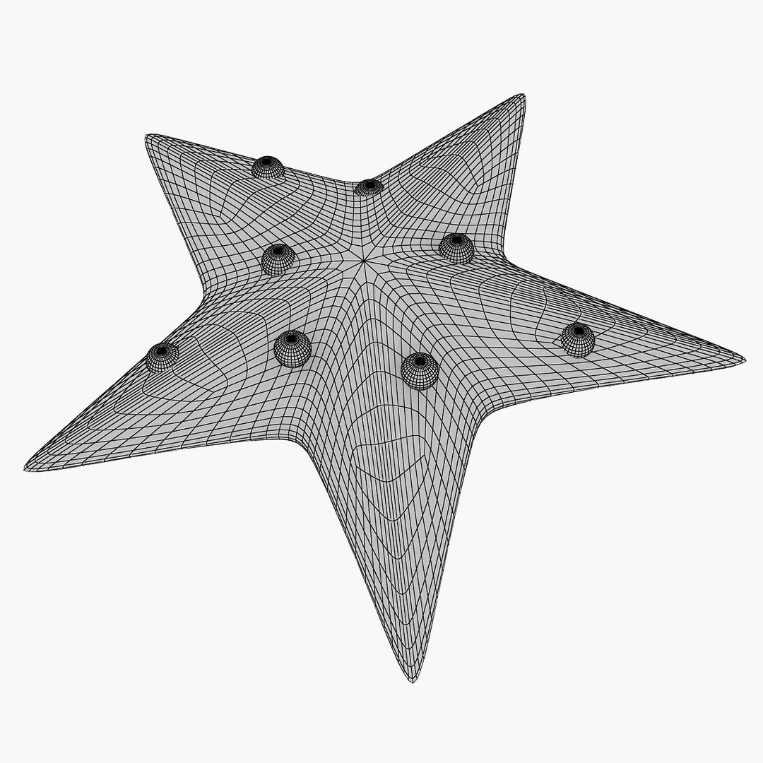 Starfish Print 3D Model - TurboSquid 1516806