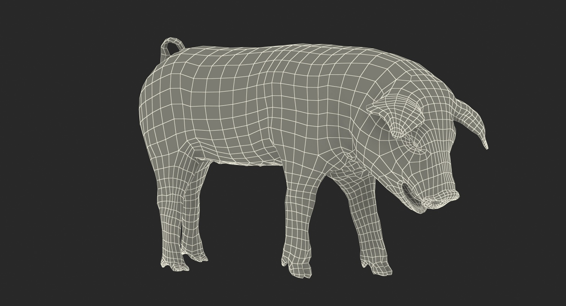 Pig Piglet Pietrain Standing 3D Model - TurboSquid 1370957