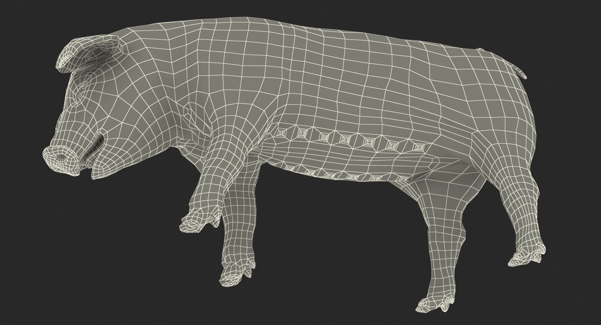 Pig Piglet Pietrain Standing 3D Model - TurboSquid 1370957