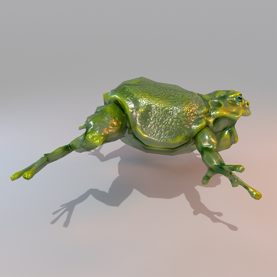 3D Toad Model - TurboSquid 1572472