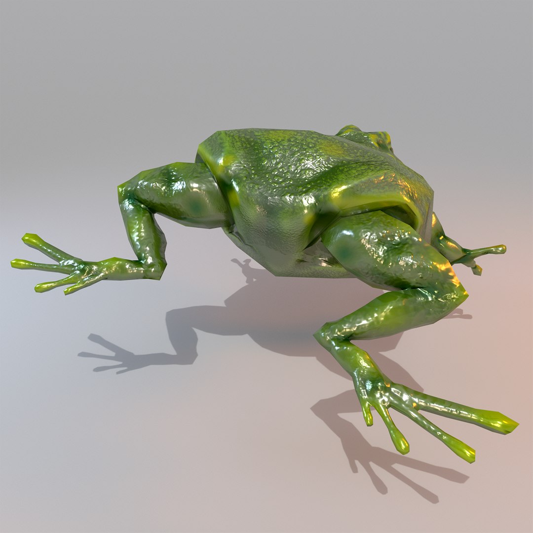 3D Toad Model - TurboSquid 1572472