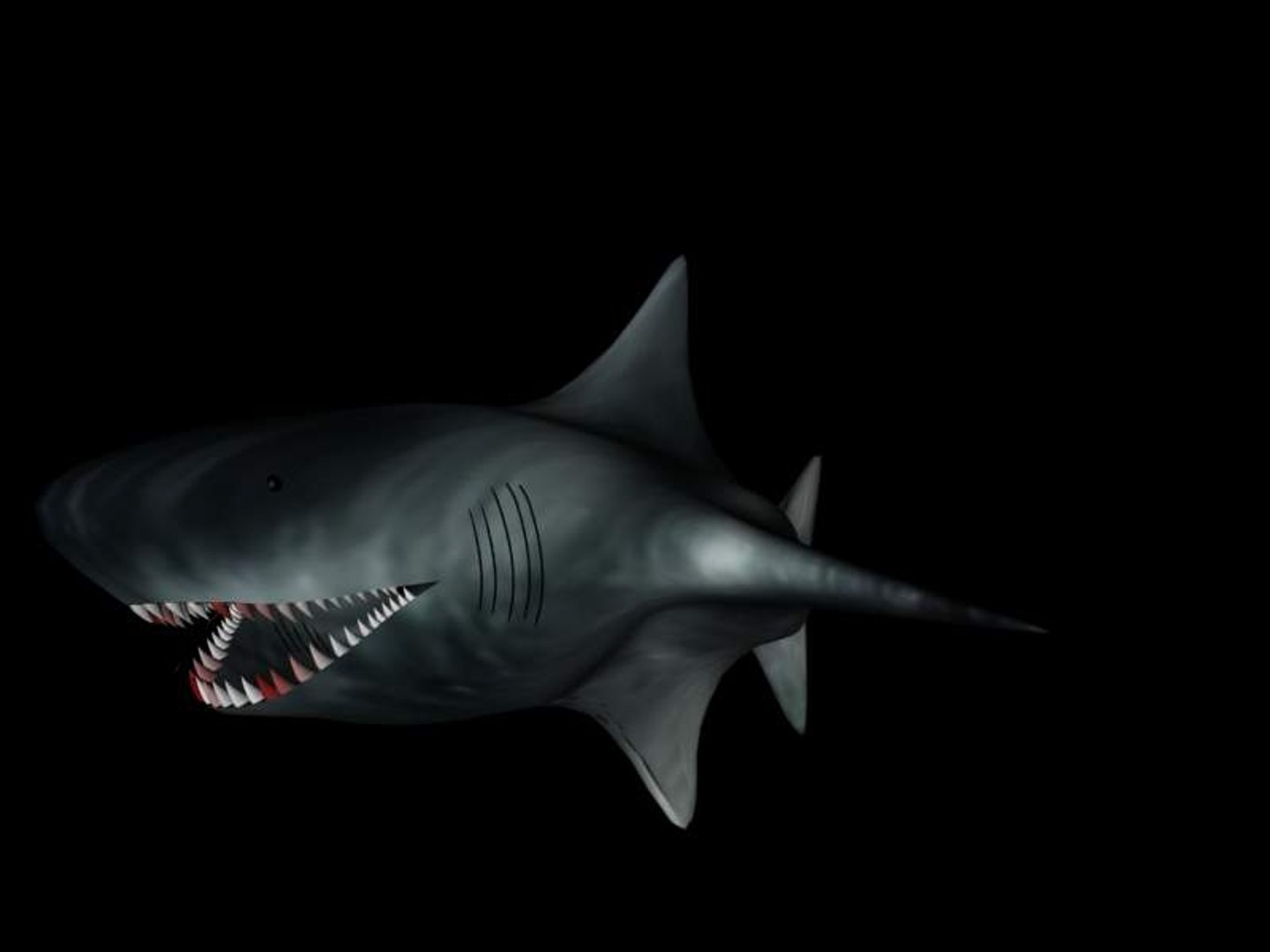 3d Model Shark Fish