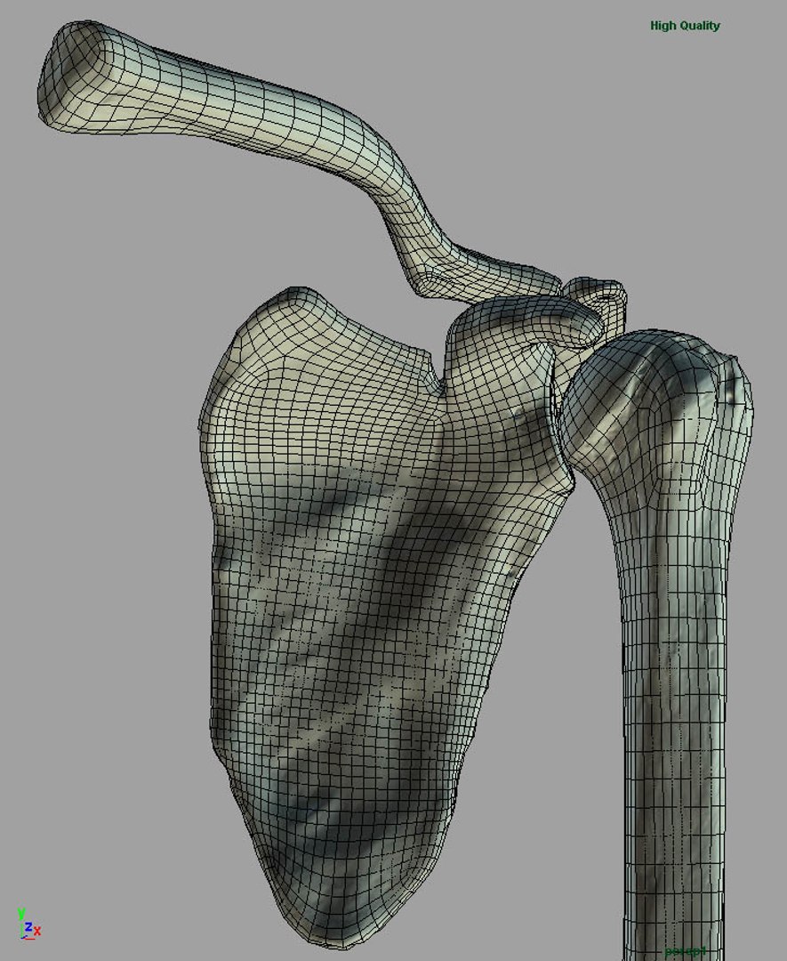 Arm Mapped Uberarm 3d Ma