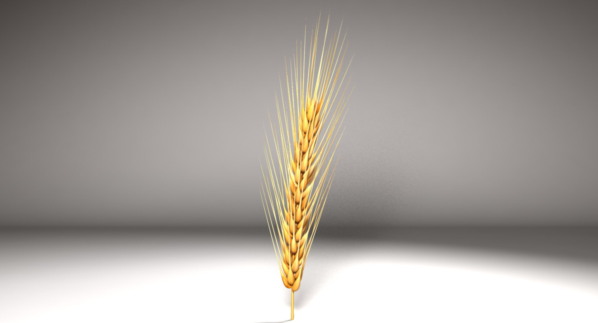 wheat cnc printing 3d c4d