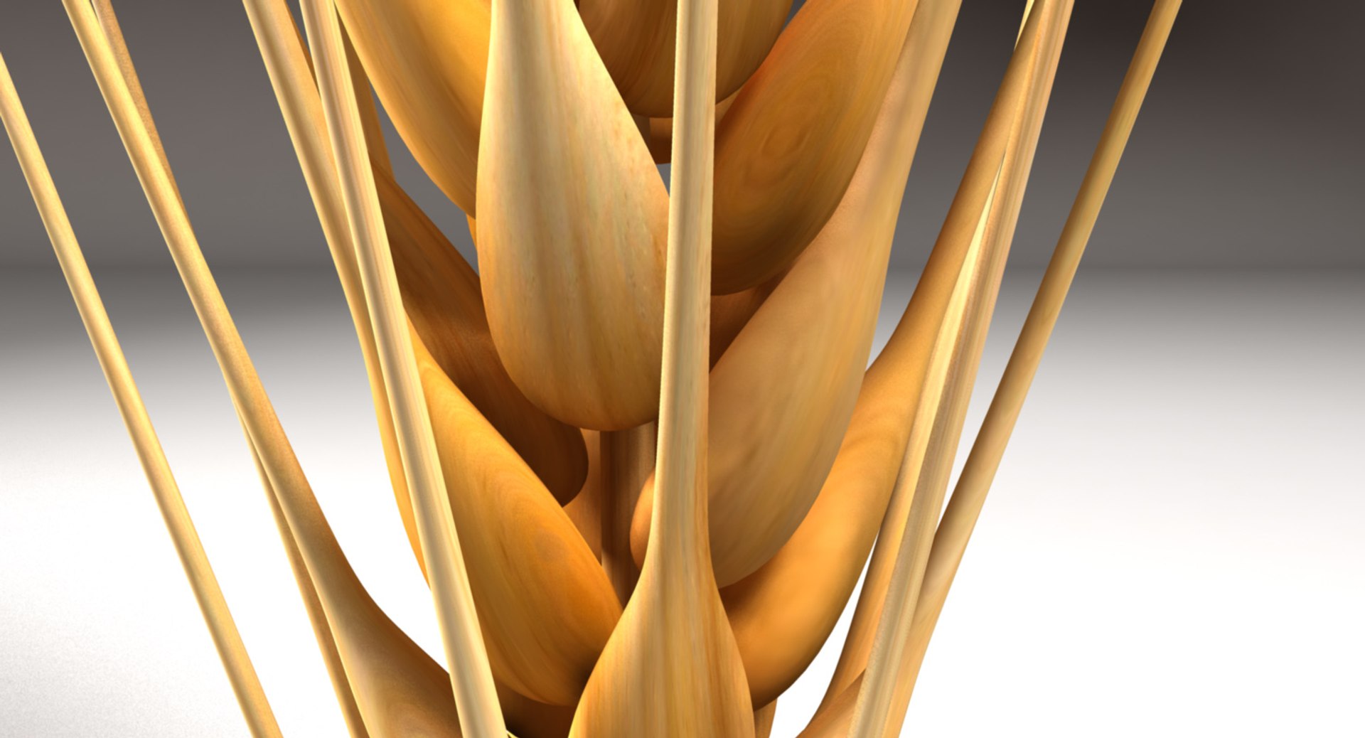 wheat cnc printing 3d c4d