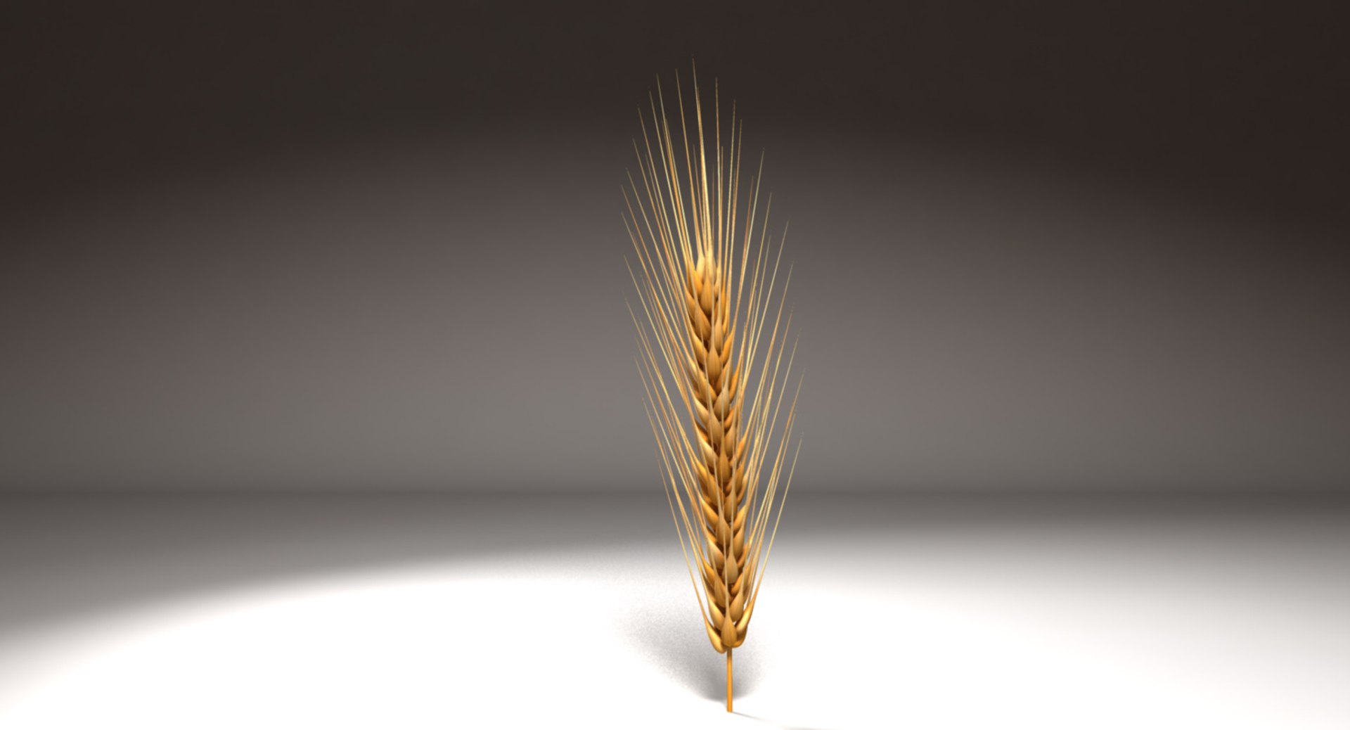 wheat cnc printing 3d c4d