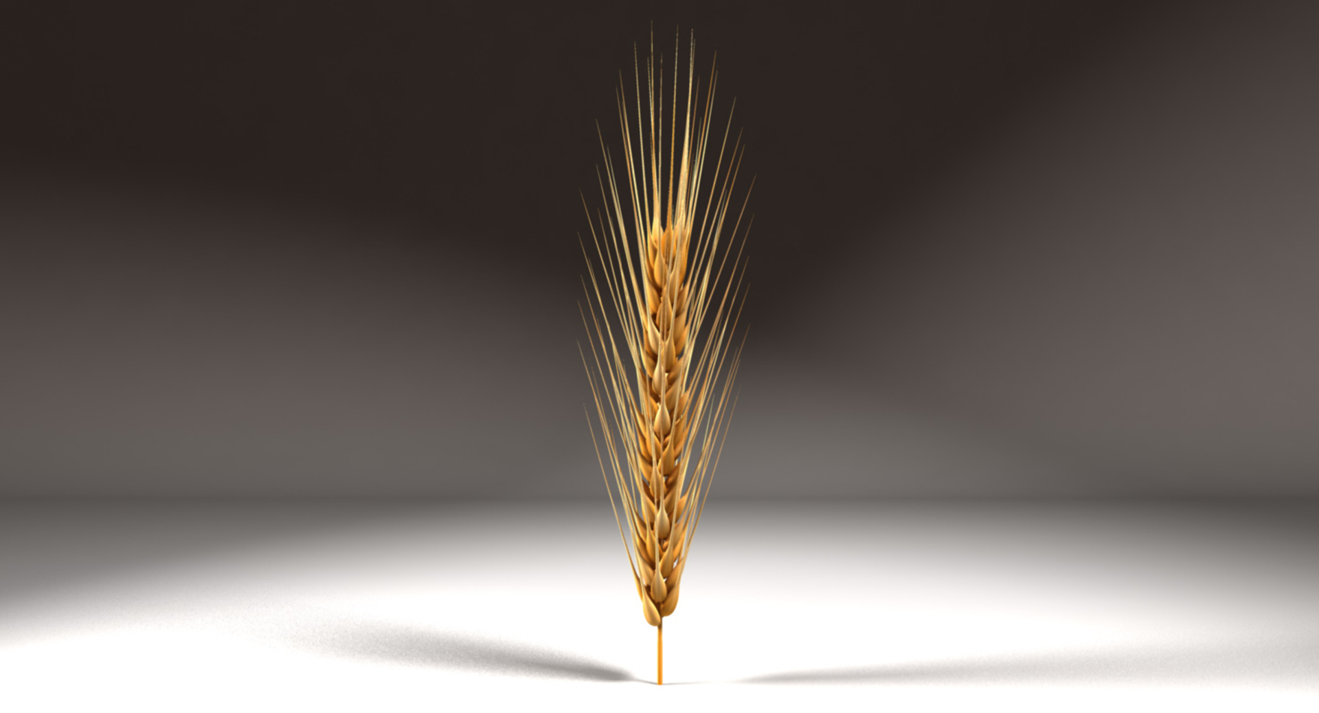 wheat cnc printing 3d c4d