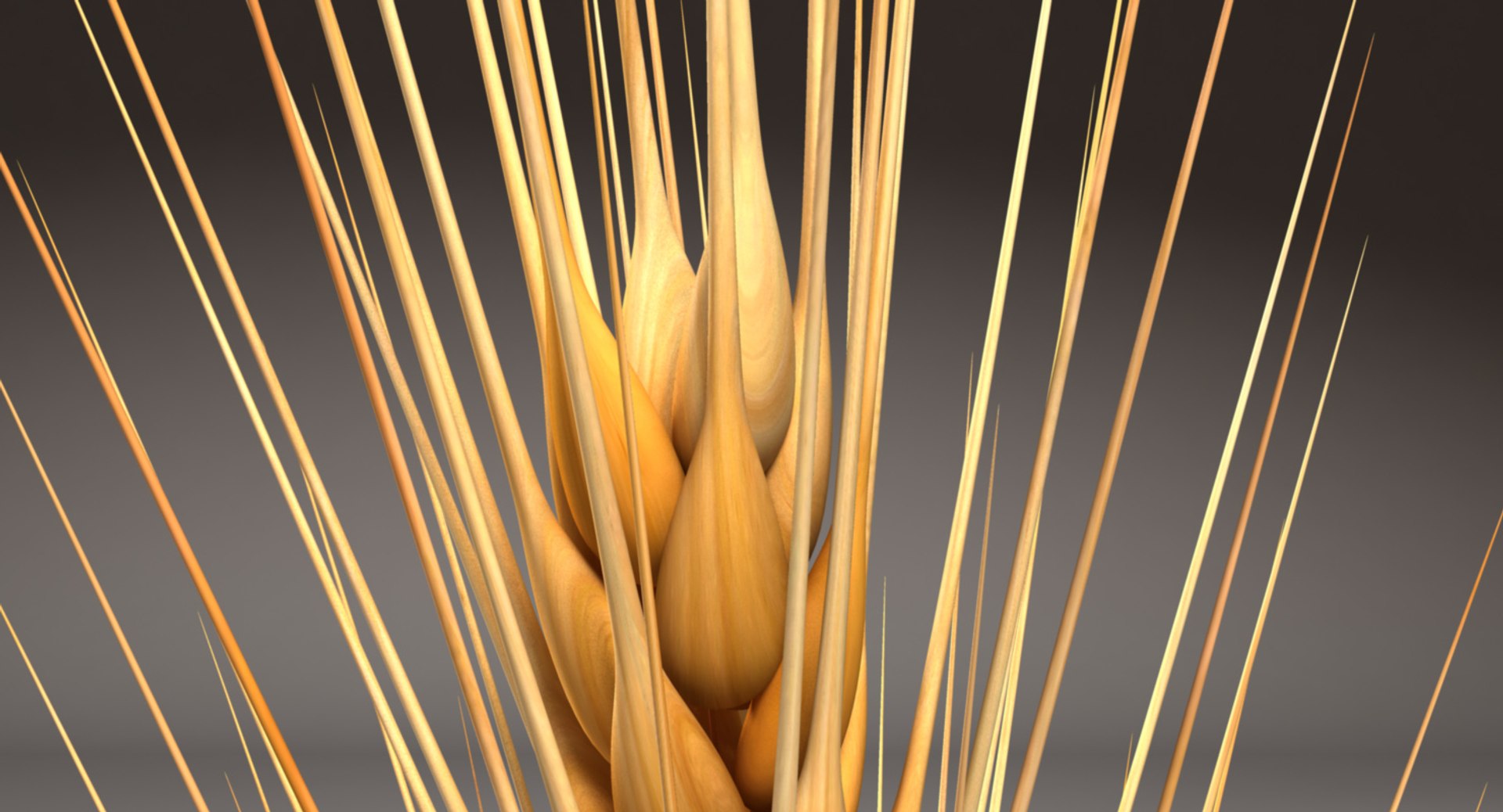 wheat cnc printing 3d c4d
