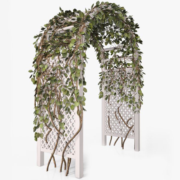 3D Trellis Models | TurboSquid