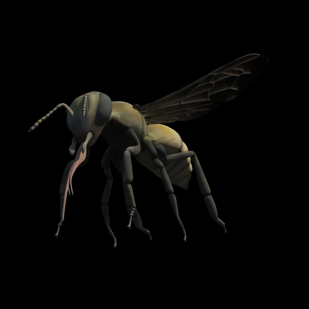 3d model of worker bees
