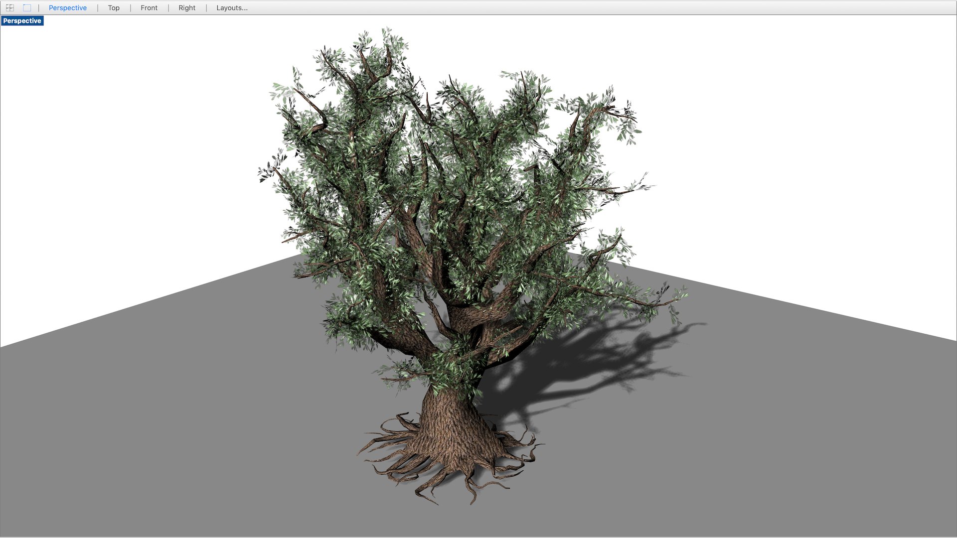 3D Oak Tree Live Model - TurboSquid 1710805