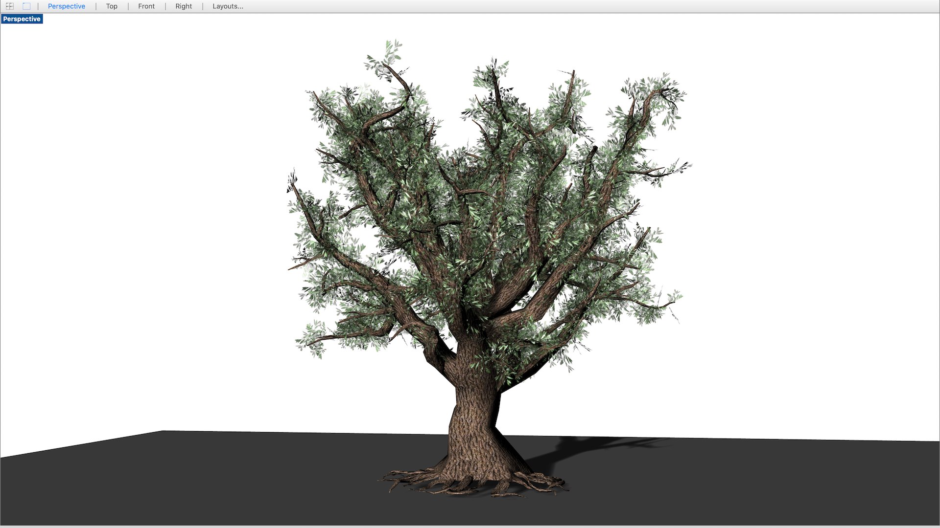 3D Oak Tree Live Model - TurboSquid 1710805